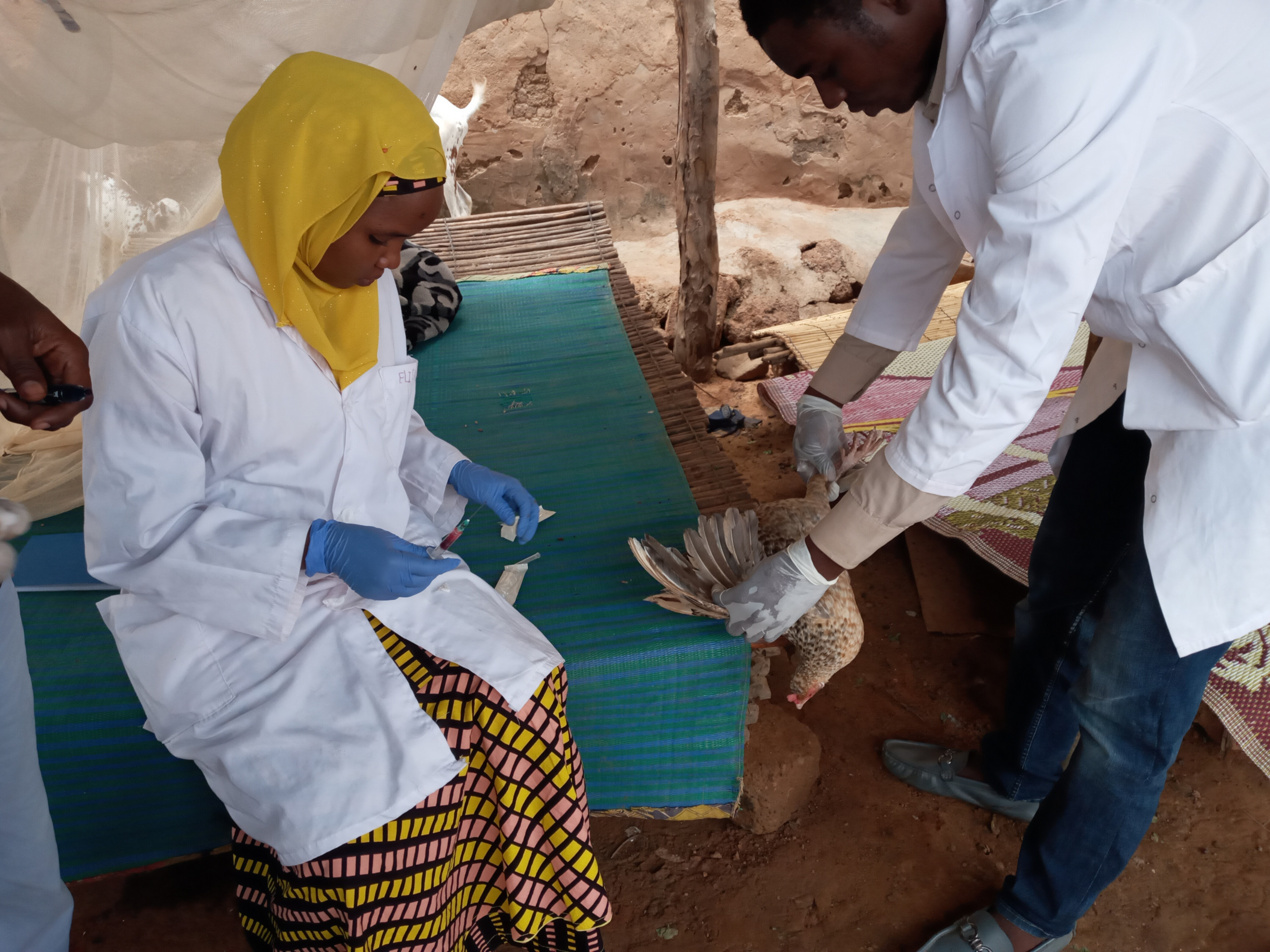 Synergy of action: WOAH projects on capacity building for veterinary ...