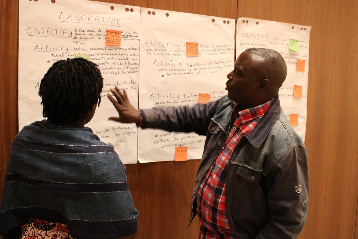 Gabon and the Republic of Congo strengthen their intersectoral ...