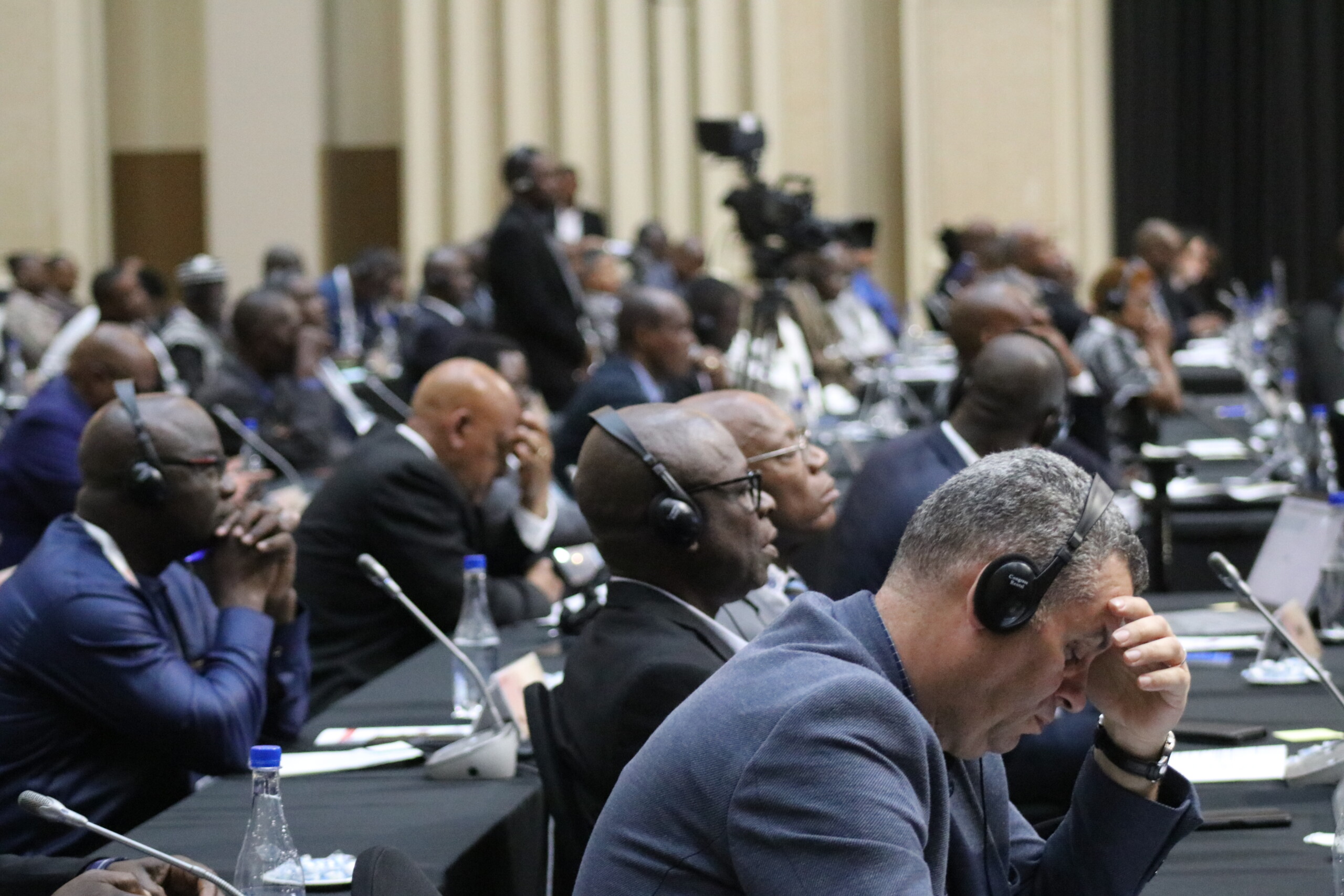 25th Conference of the Regional Commission (Gaborone) - WOAH - Africa