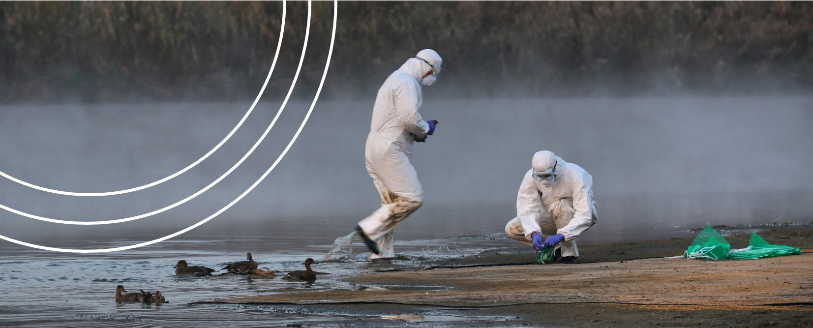 Veterinary Services Develop Workplans for Biological Threat Reduction ...