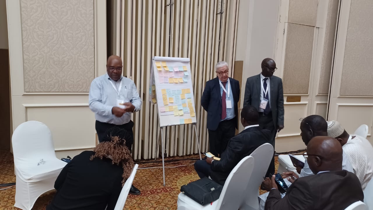Africa Regional Seminar on Rabies : is Africa ready for zero by thirty ...