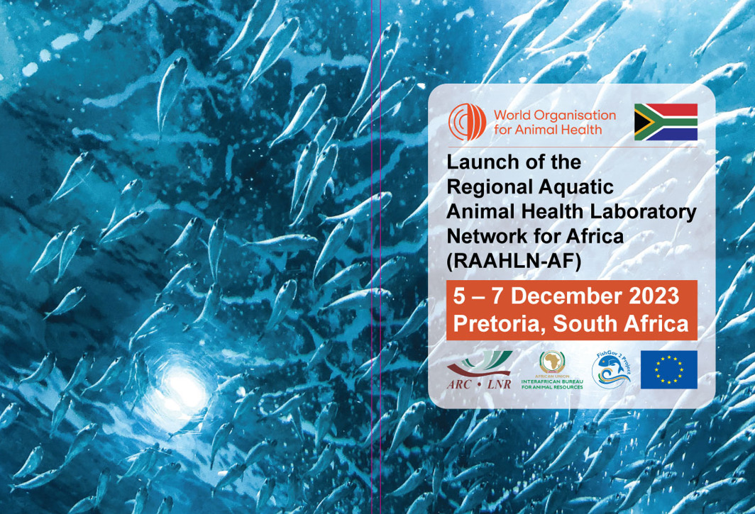 Launch of the Regional Aquatic Animal Health Laboratory Network for ...