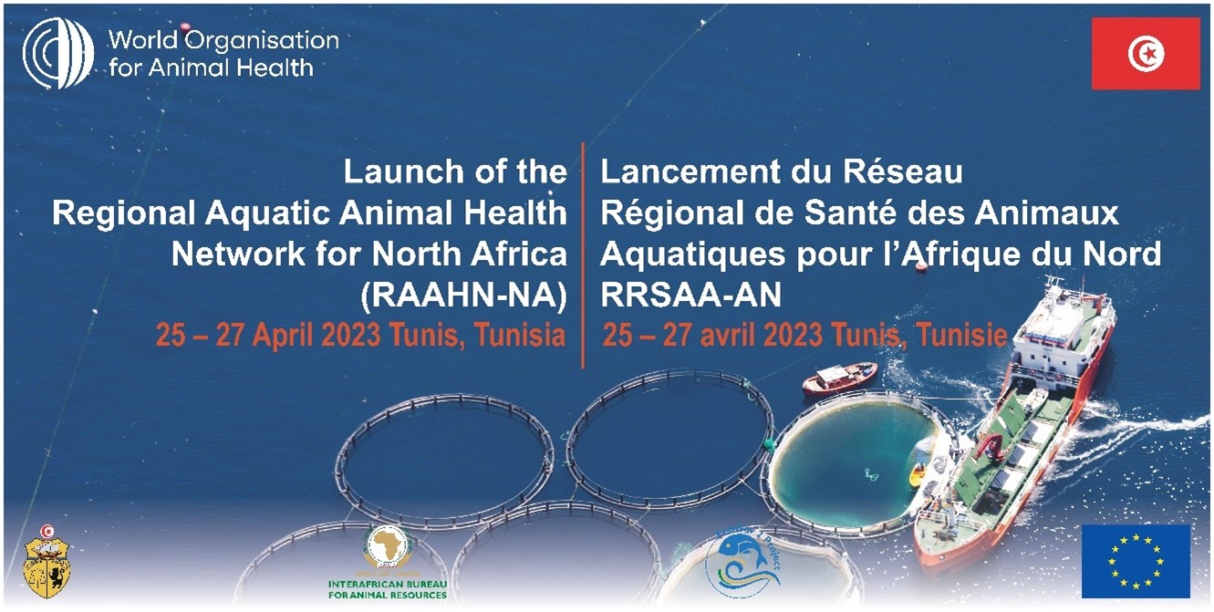 Launch of the Regional Aquatic Animal Health Network (North Africa ...