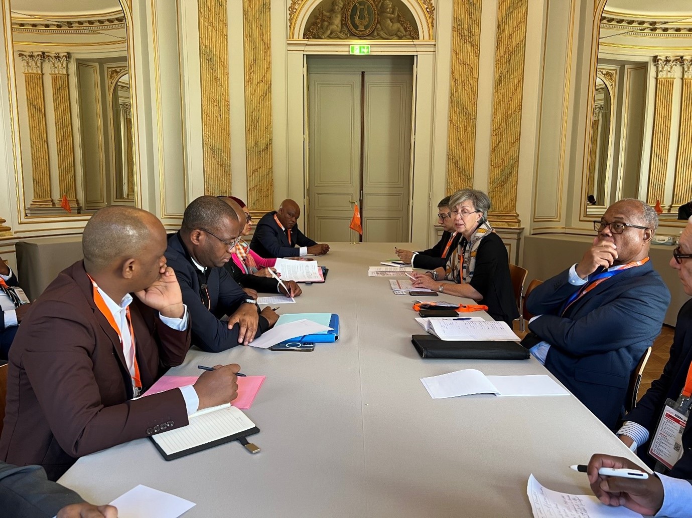 The 90th WOAH General Session : its relevance for Africa… - WOAH - Africa