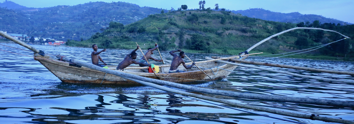 Information sheet :: Rwanda - WOAH - Africa