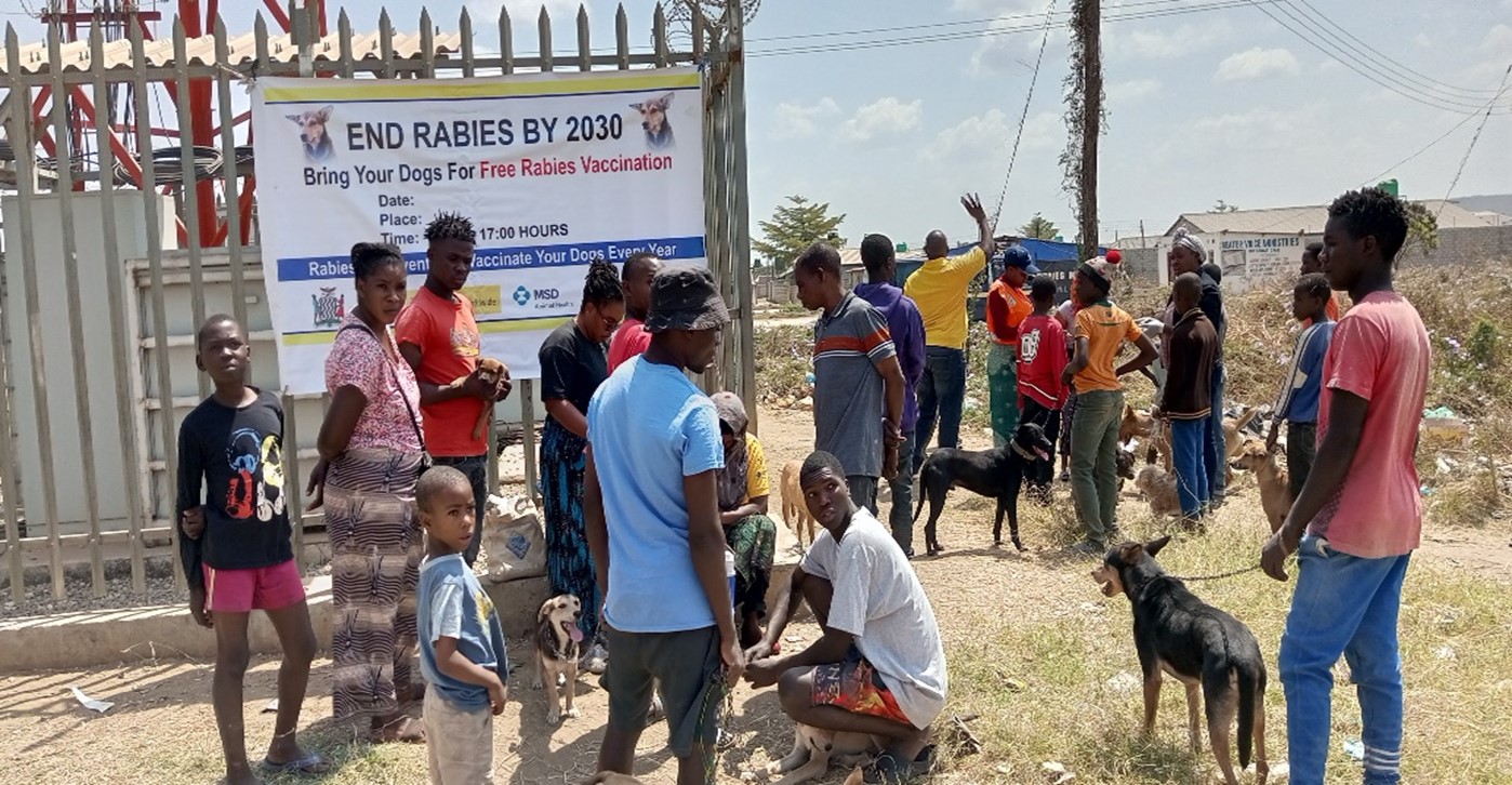 Zambia's rabies control strategy endorsed: a model for One Health ...