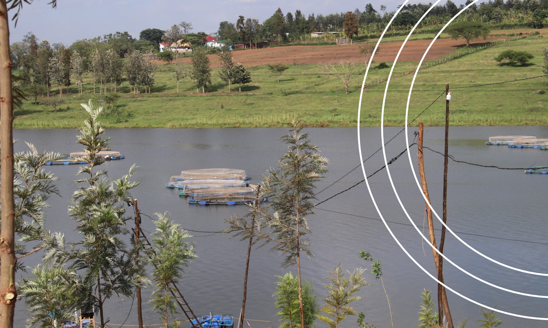 Kigali hosts the fourth cycle training of Aquatic Animal Health Focal ...