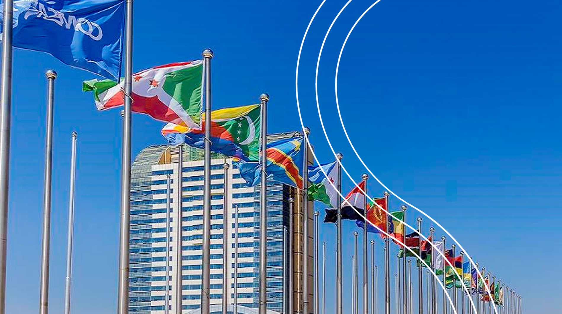 The Common Market for Eastern and Southern Africa - WOAH - Africa