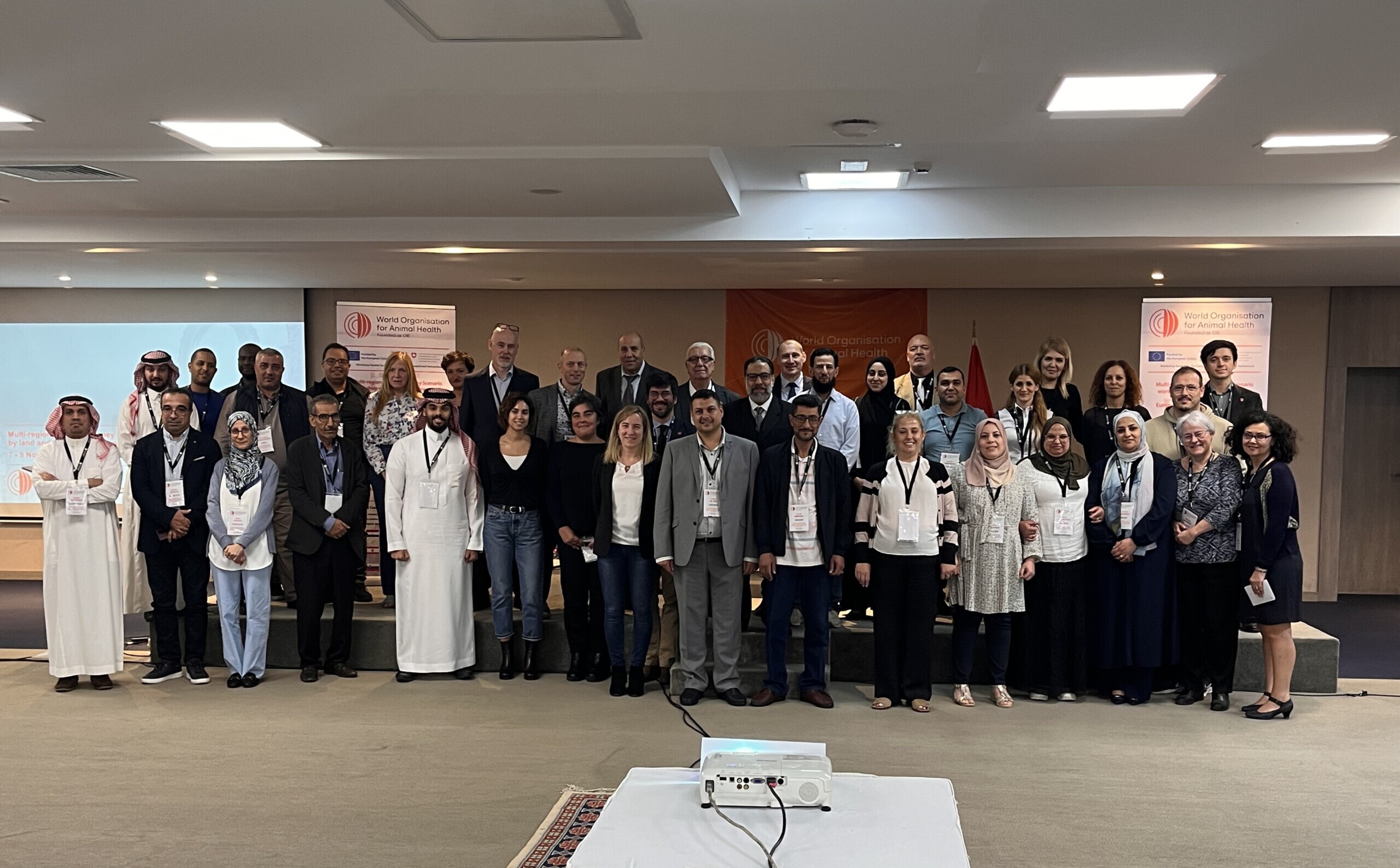 Multi-regional Whole Journey Scenario (WJS) Workshop on long-distance ...