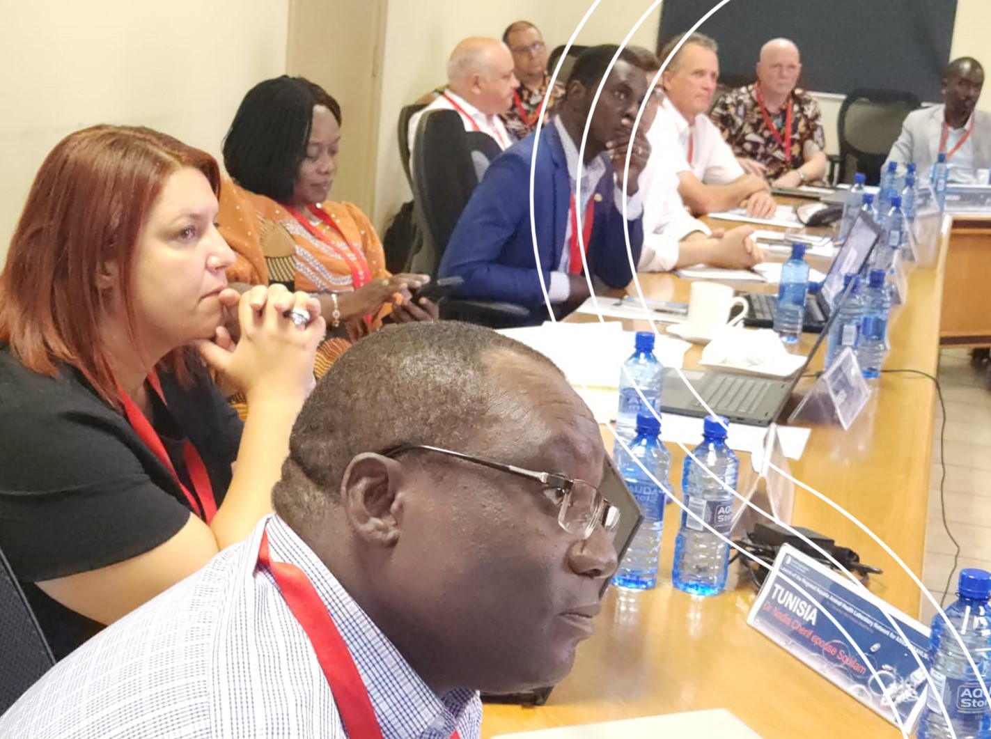 Launch of the Regional Aquatic Animal Health Laboratory Network for ...