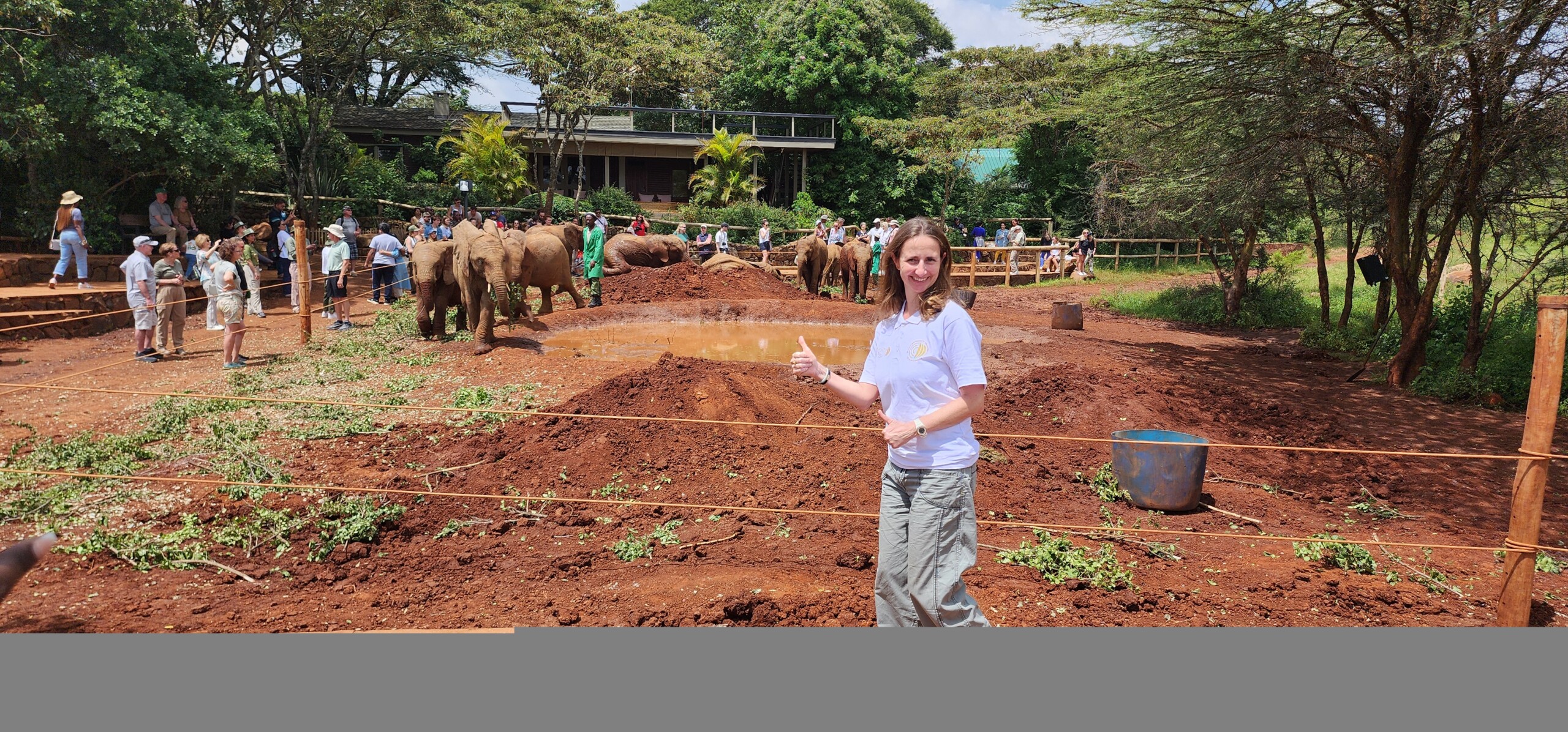 Commemorating WOAH's Glorious Century of Enhancing Animal Health and ...