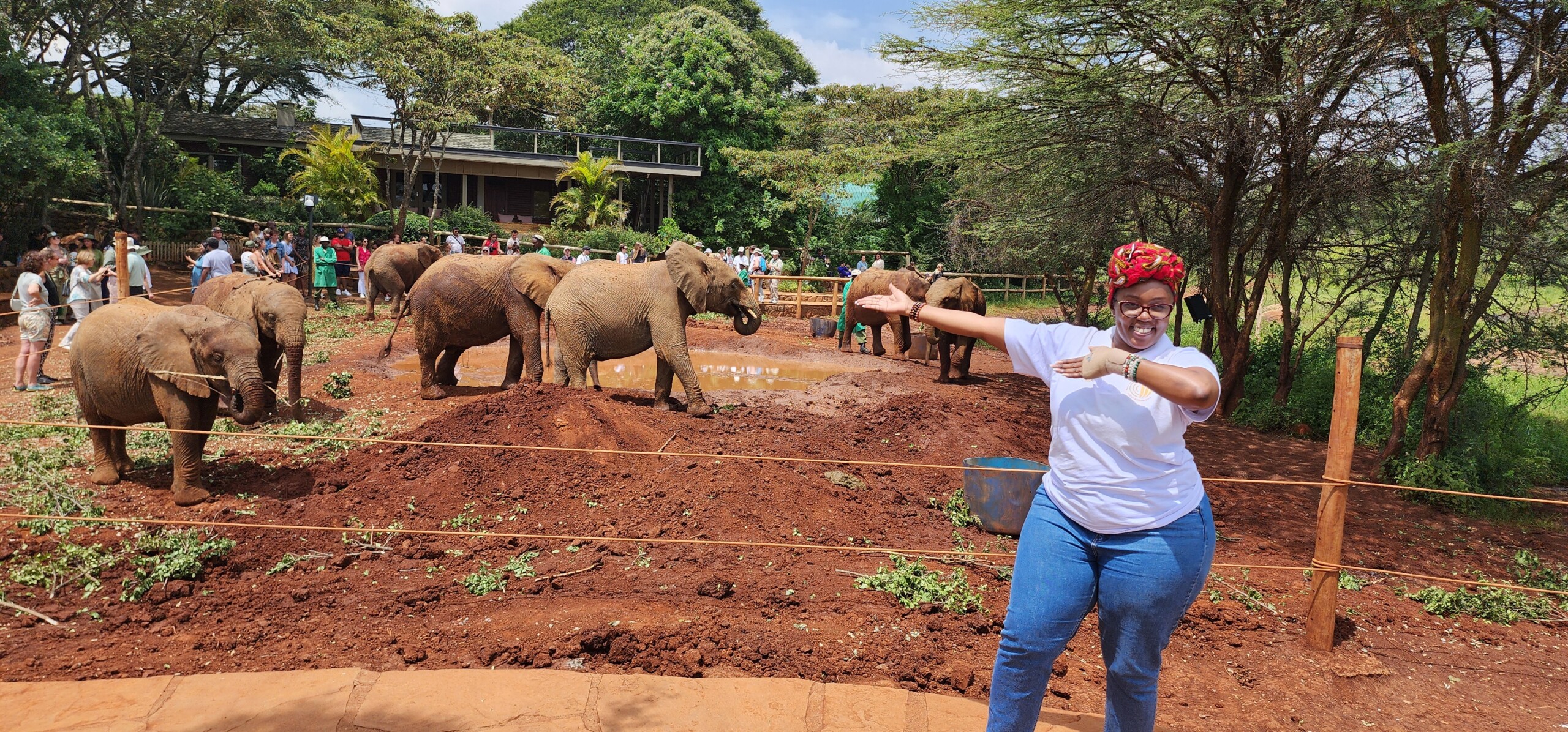 Commemorating WOAH's Glorious Century of Enhancing Animal Health and ...