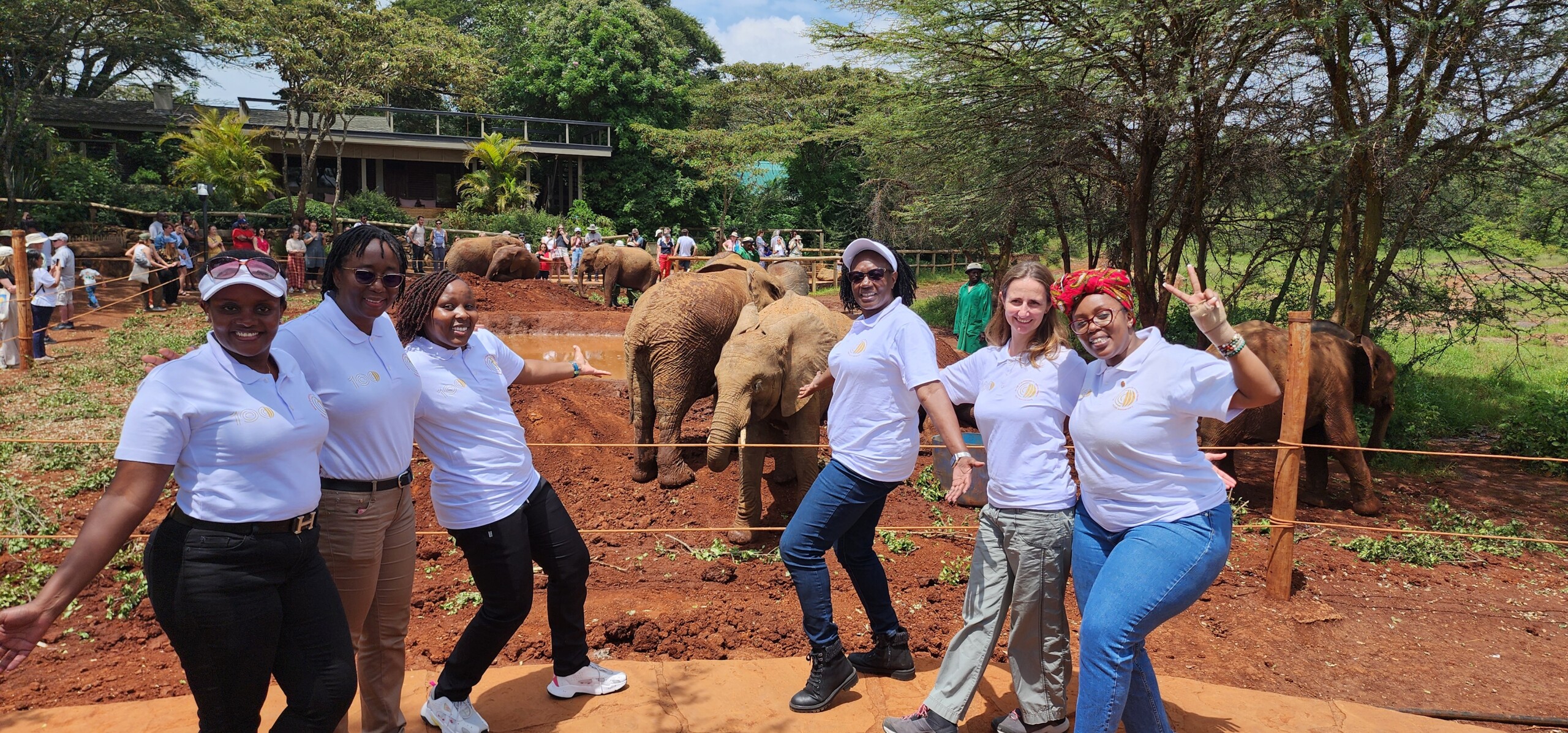 Commemorating WOAH's Glorious Century of Enhancing Animal Health and ...